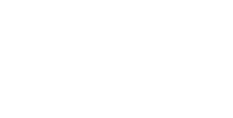 Shires Equestrian Case Study - Williams Commerce