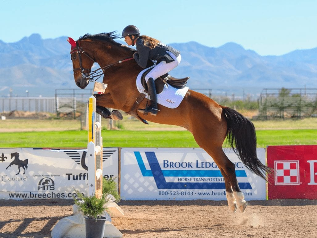 Shires Equestrian Case Study - Williams Commerce